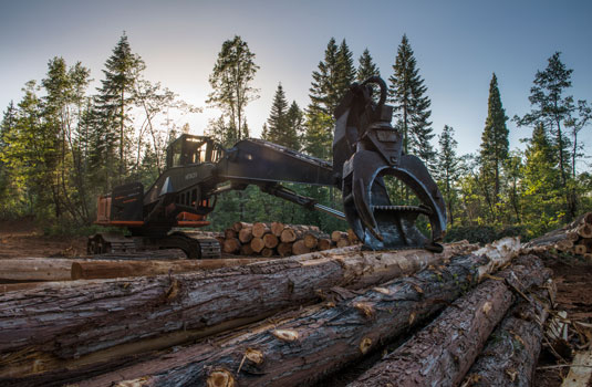 About F&W Forestry Services | Forest Management Company
